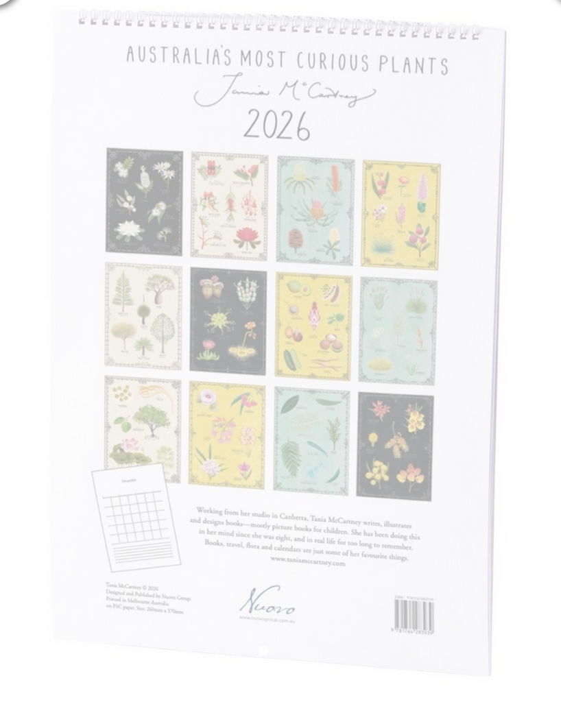 Flora Australia s Most Curious Plants By Tania McCartney 2026 Calend flora-australia-s-most-curious-plants-by-tania-mccartney-2026-calend